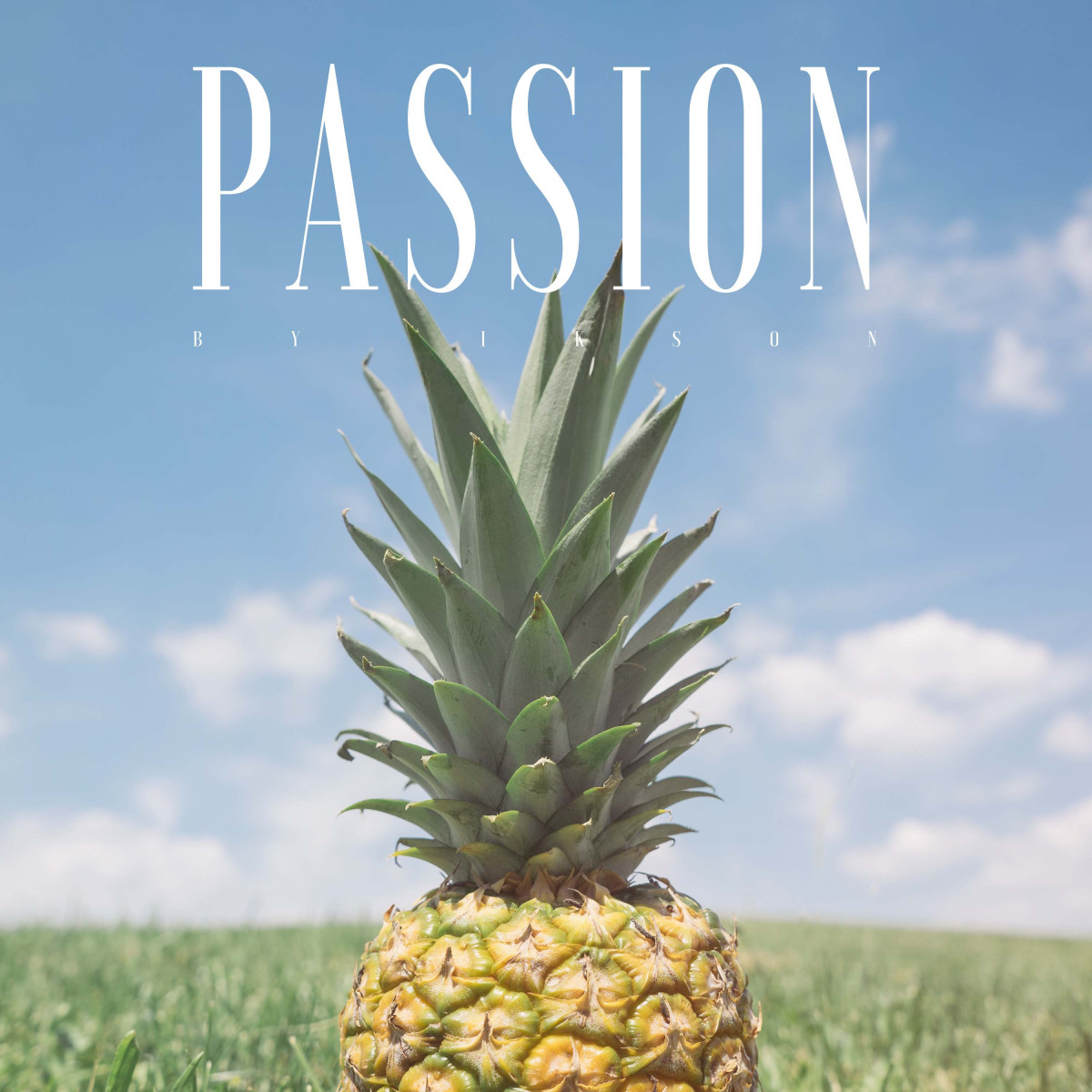 Passion by Ikson - Latin music track with Groovy vibes