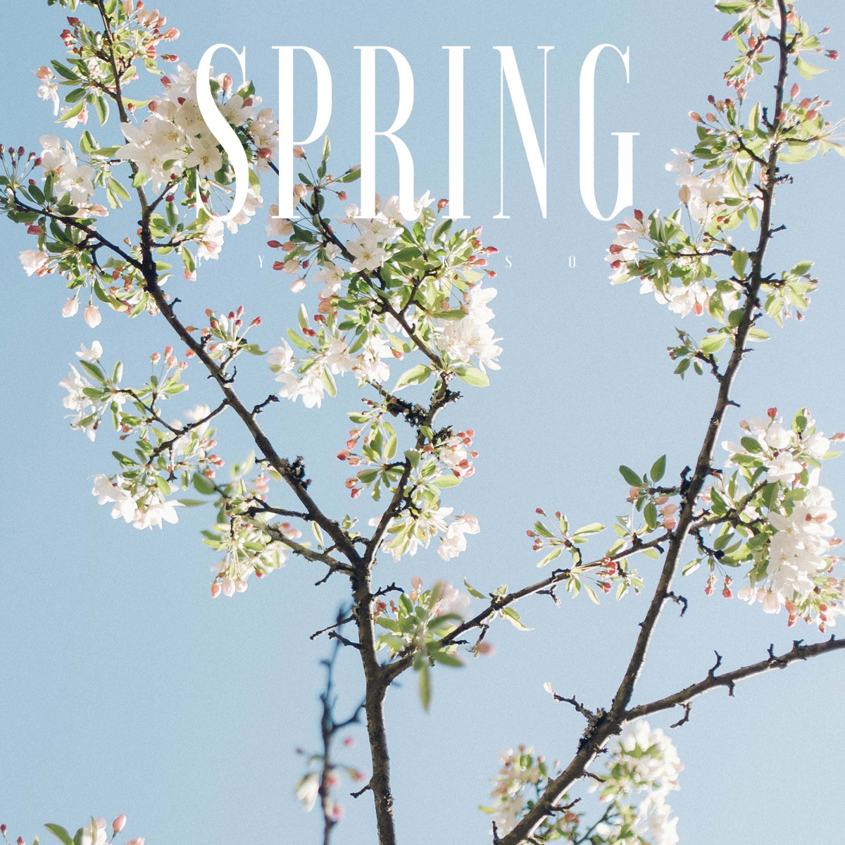 Spring by Ikson - Seasonal music track with Happy vibes