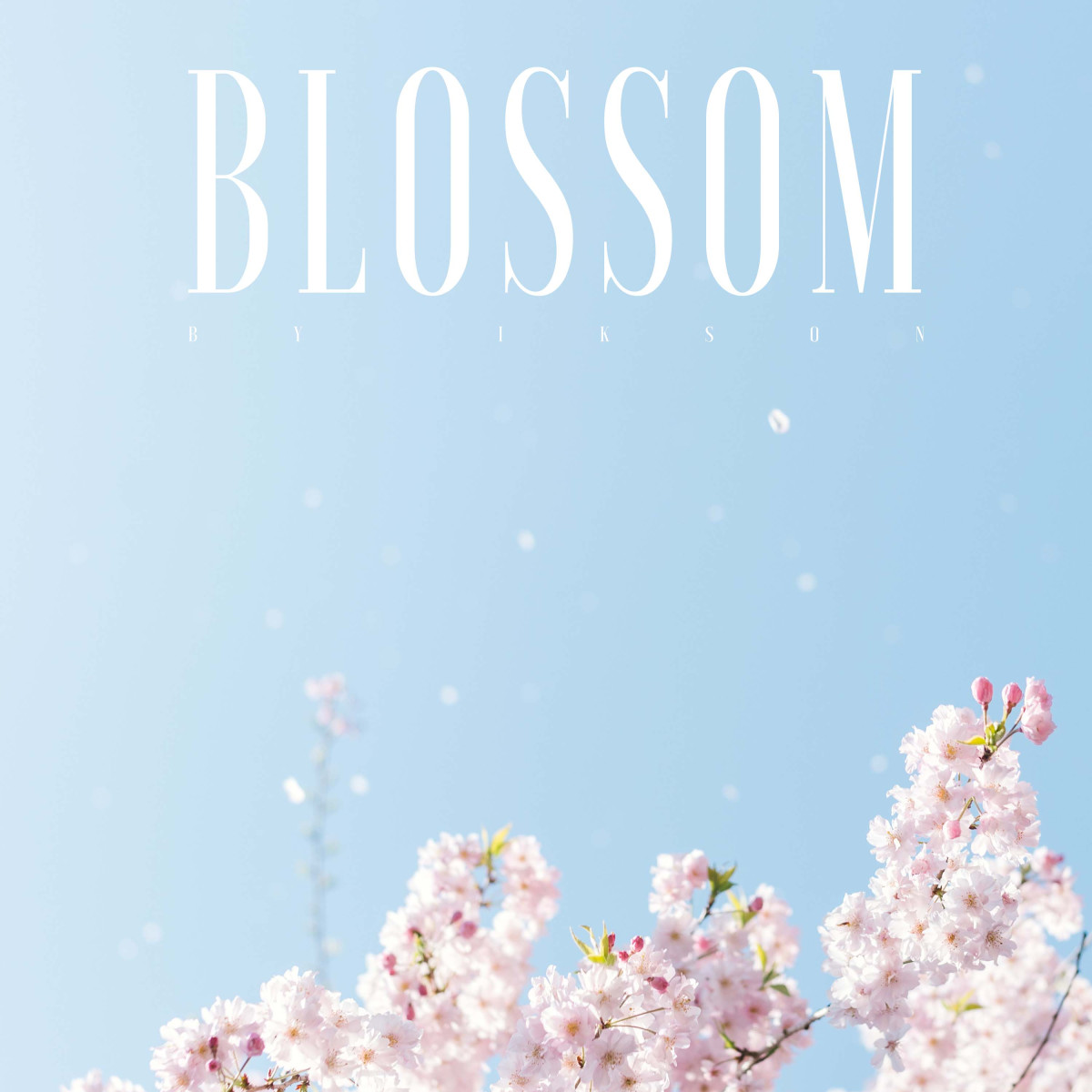 Blossom by Ikson - Tinker music track with Happy vibes