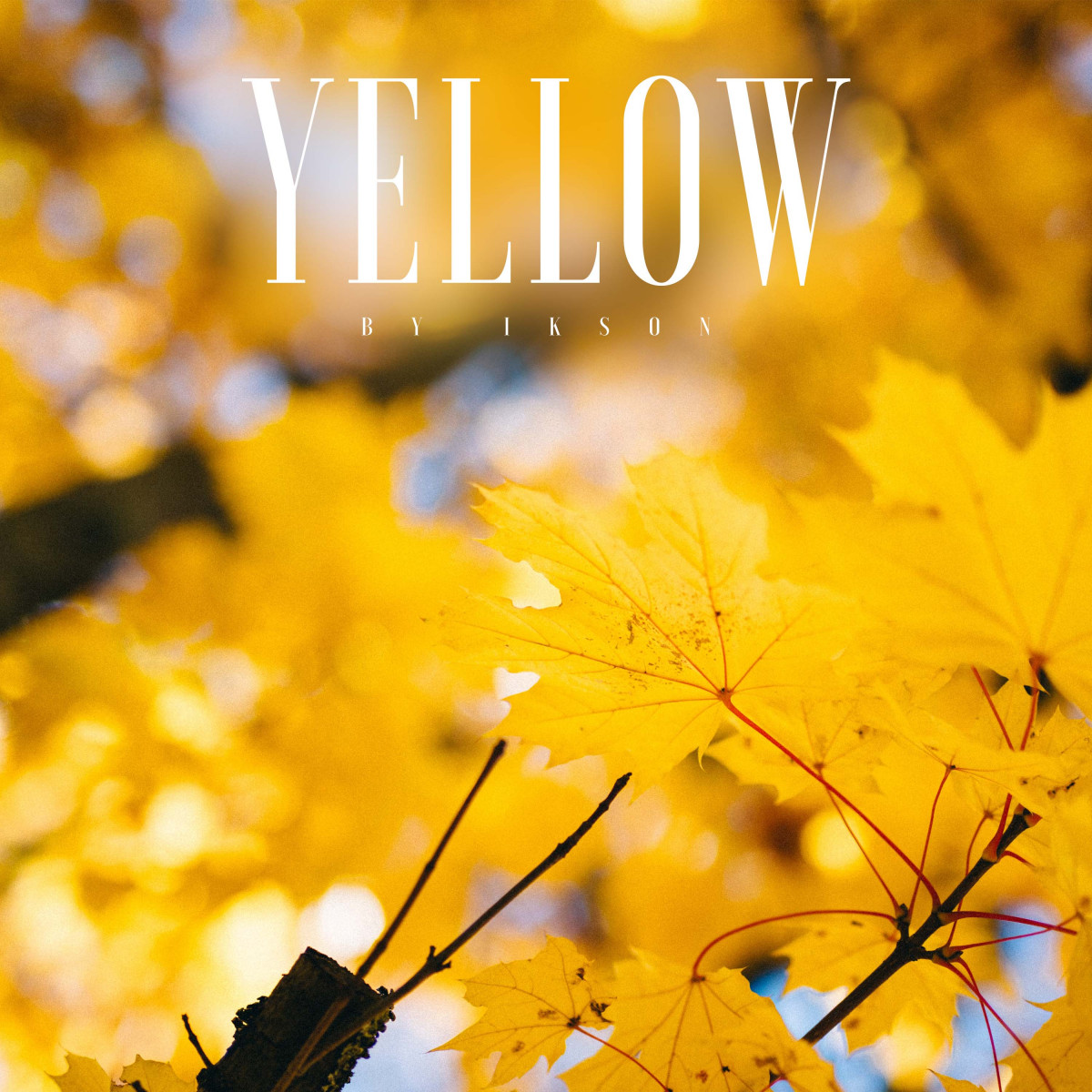 Yellow by Ikson - Acoustic music track with Seasonal vibes